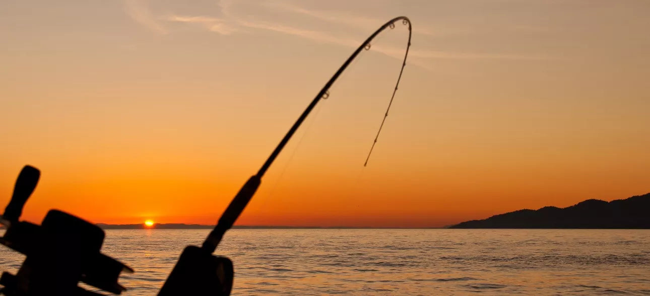 Famous Sporting Faces Who Enjoy Fishing In Their Spare Time - Buy4Outdoors